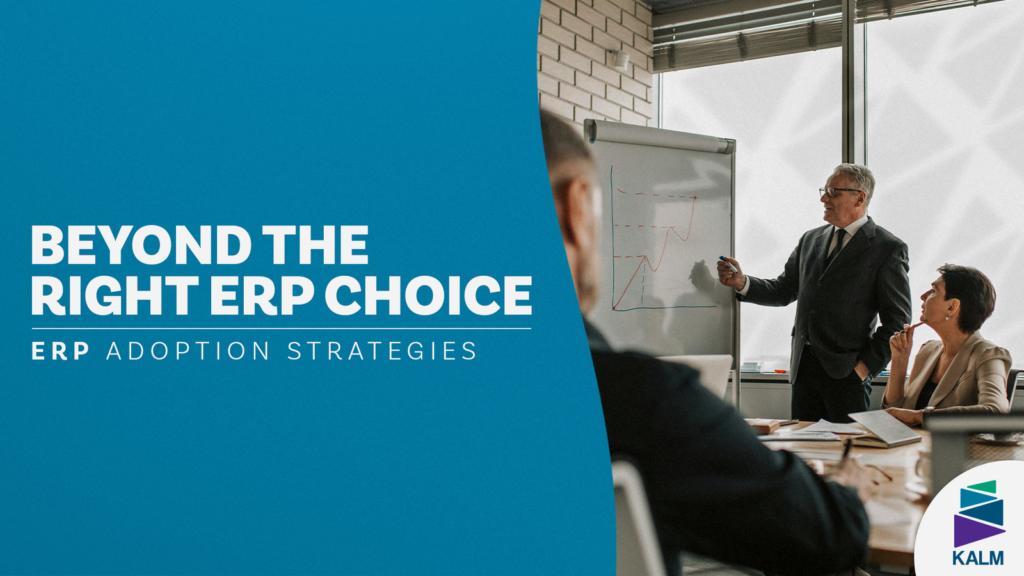 ERP Adoption Strategies – Beyond the Right ERP Choice